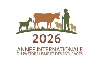 Iyrp 2026 Feuille De Route Mondiale Pour L Année Internationale Des